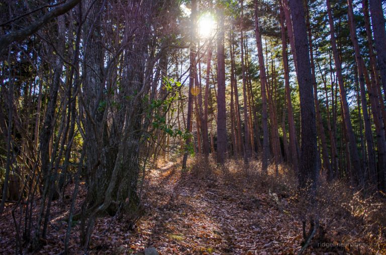Mt. Mito 三頭山 - RIDGELINEIMAGES.com