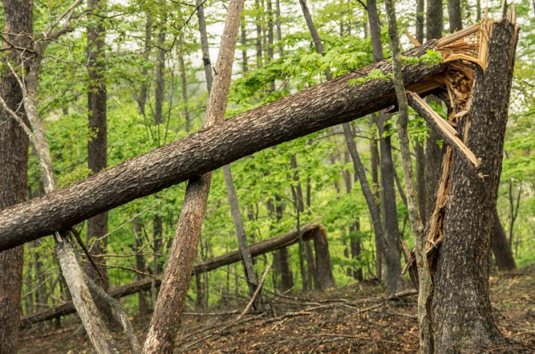 10 Unusual Sights Hiking Around Tokyo - RIDGELINEIMAGES.com
