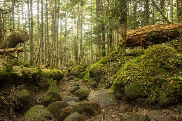 Mt. Tengu 天狗岳 - RIDGELINEIMAGES.com