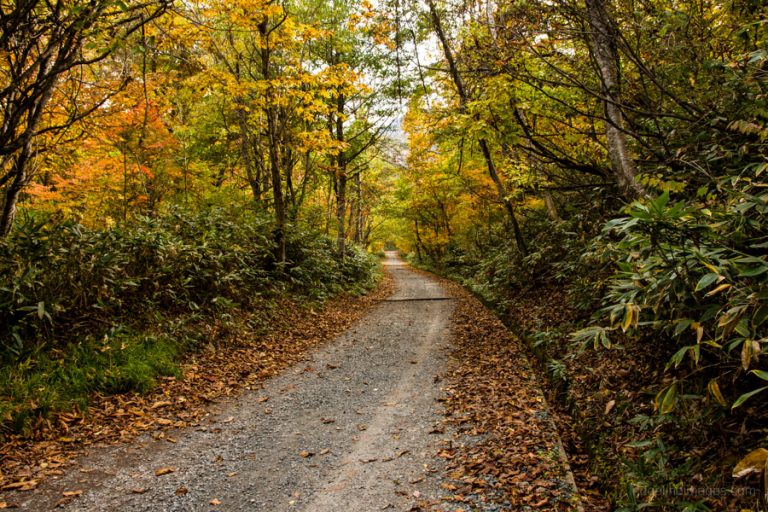 Oze Marsh 尾瀬ヶ原 - RIDGELINEIMAGES.com