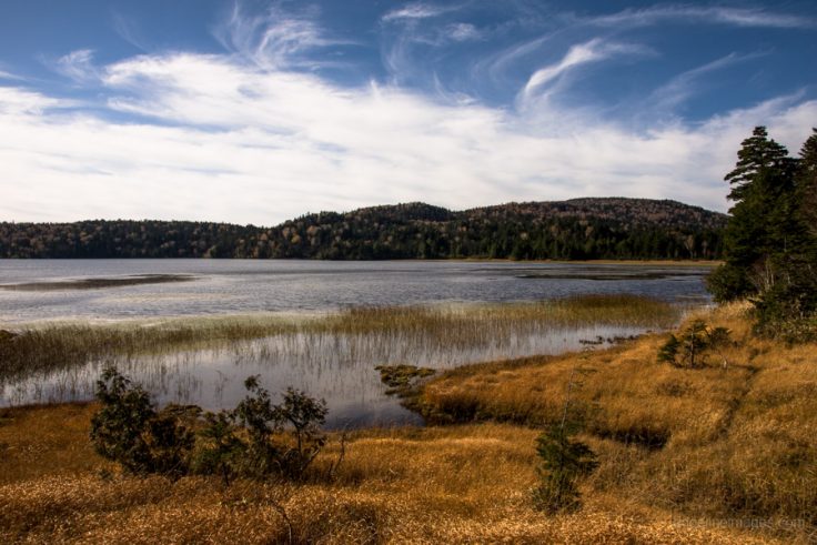 Oze Marsh 尾瀬ヶ原 - RIDGELINEIMAGES.com