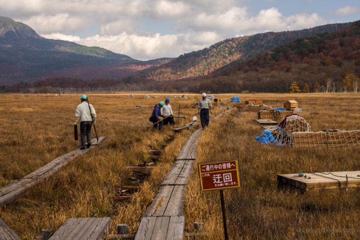 Oze Marsh 尾瀬ヶ原 - RIDGELINEIMAGES.com
