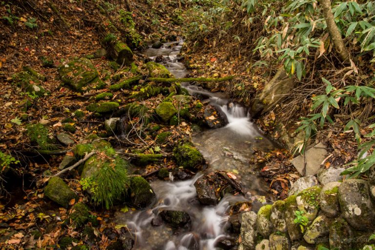 Oze Marsh 尾瀬ヶ原 - RIDGELINEIMAGES.com