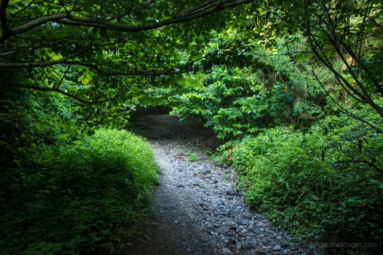 Kongo Falls in Hachioji City - RIDGELINEIMAGES.com