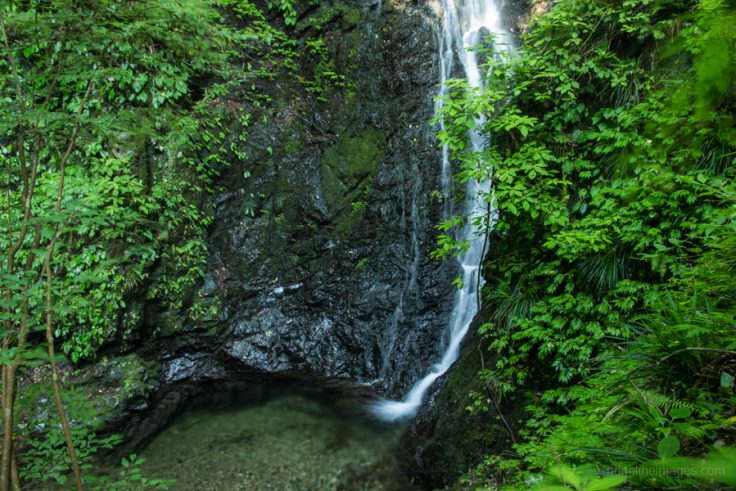 Kongo Falls in Hachioji City - RIDGELINEIMAGES.com