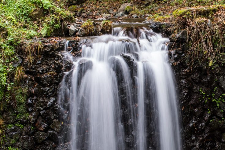 Okutama Mukashi Michi Hike - RIDGELINEIMAGES.com