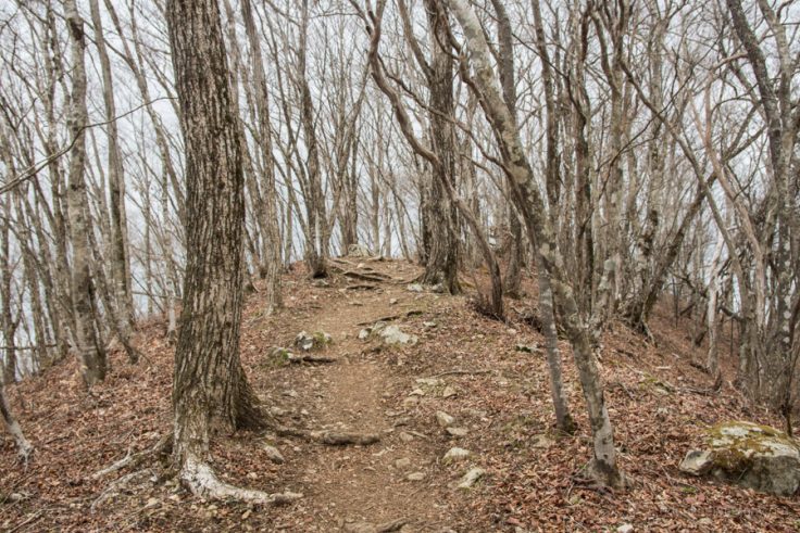 Mt. Jinba 陣馬山 to Mt. Mito 三頭山 - RIDGELINEIMAGES.com