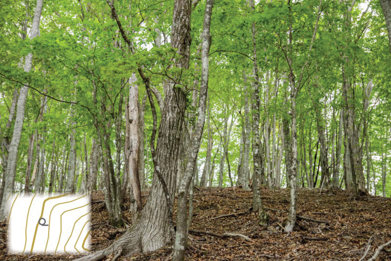 Reading “GSI” Topographic Maps - RIDGELINEIMAGES.com