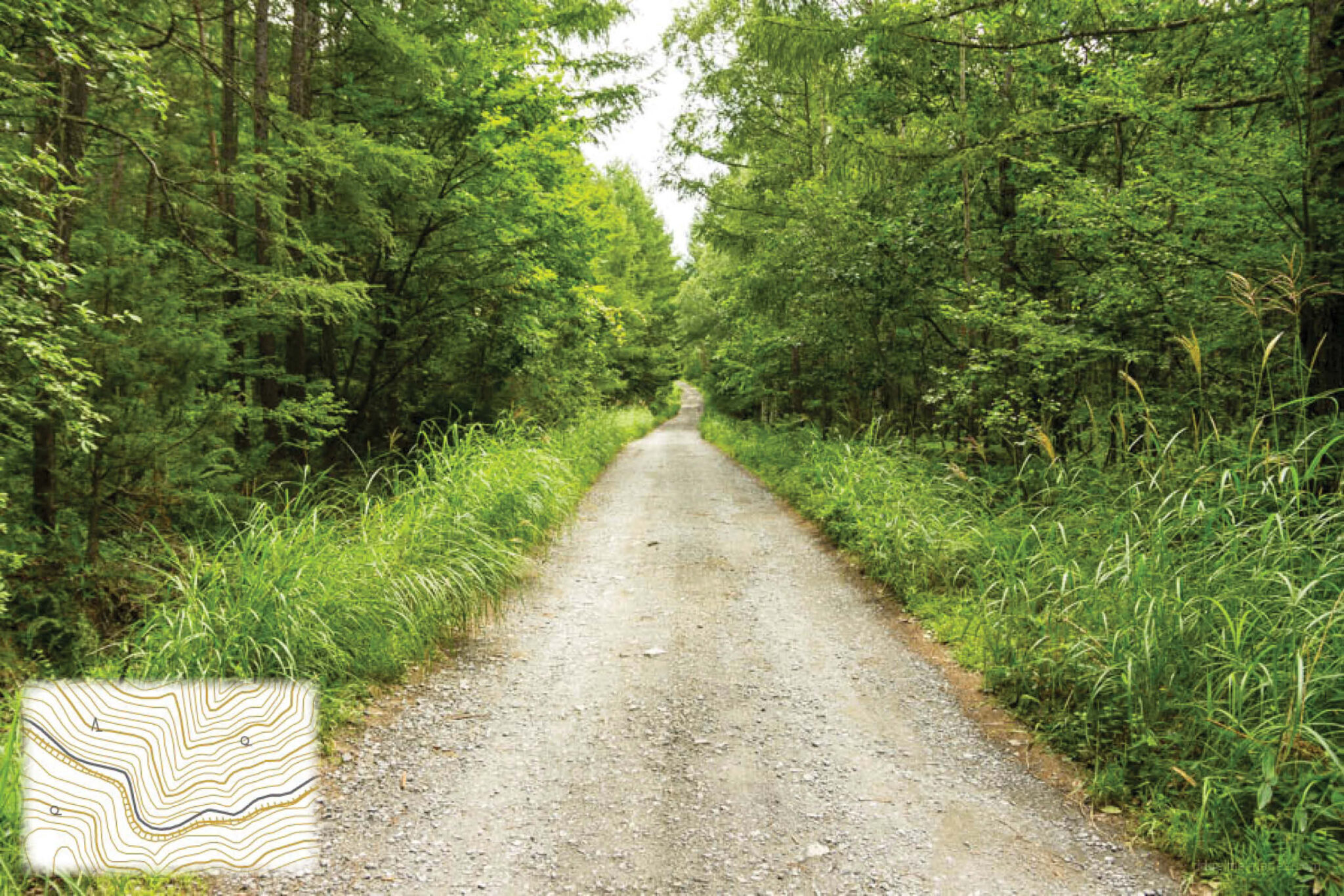 Reading “GSI” Topographic Maps - Ridgeline Images