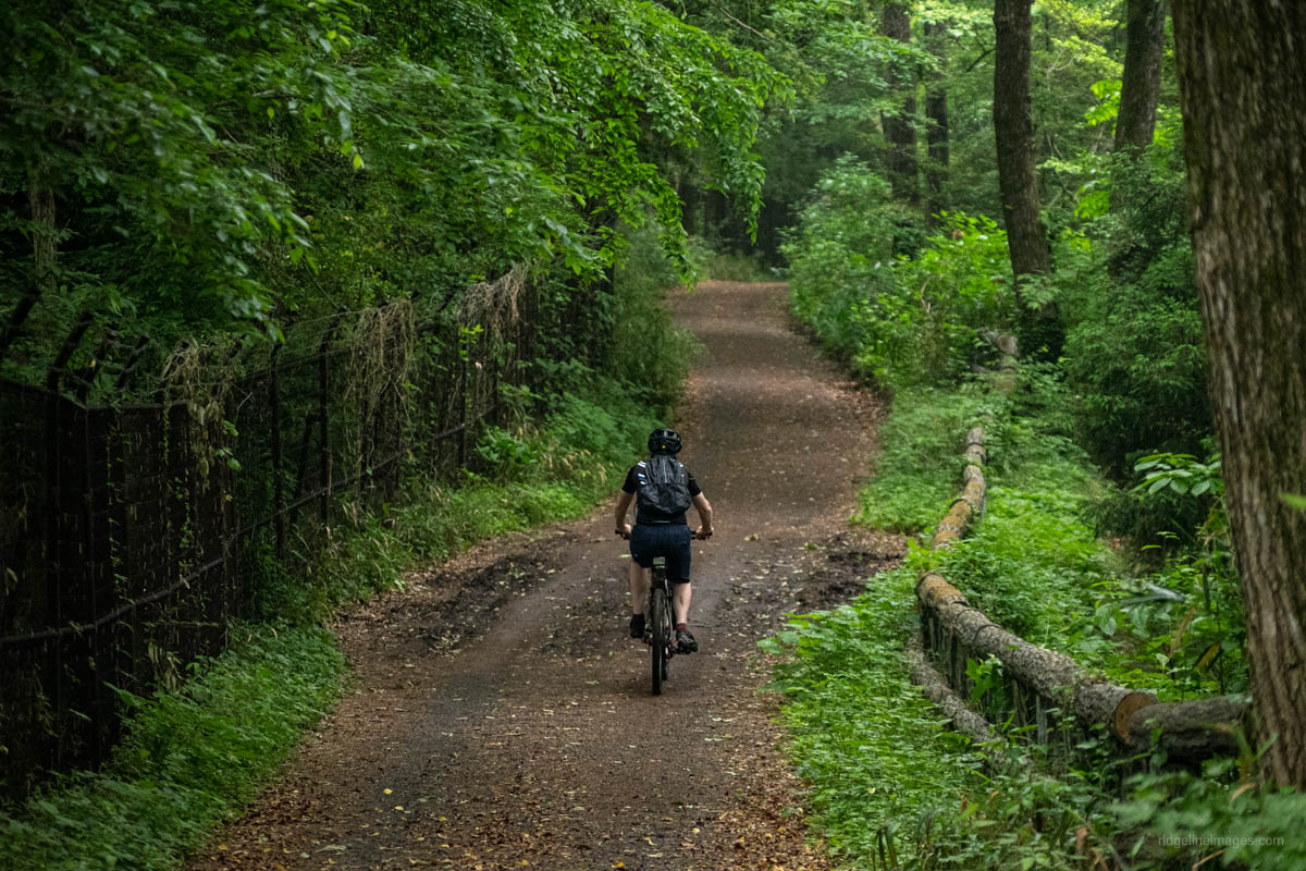 Sayama Hills Mountain Bike Course - RIDGELINEIMAGES.com