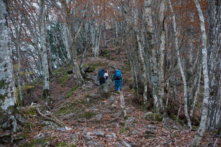 Mt. Nagasawa 長沢山 - RIDGELINEIMAGES.com