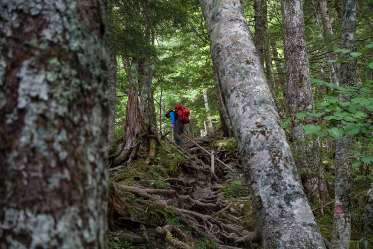 Southern Alps Traverse 南アルプス縦走 - RIDGELINEIMAGES.com