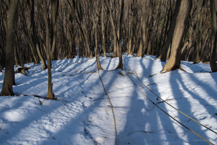 Mt. Takegawa 武川岳 - RIDGELINEIMAGES.com