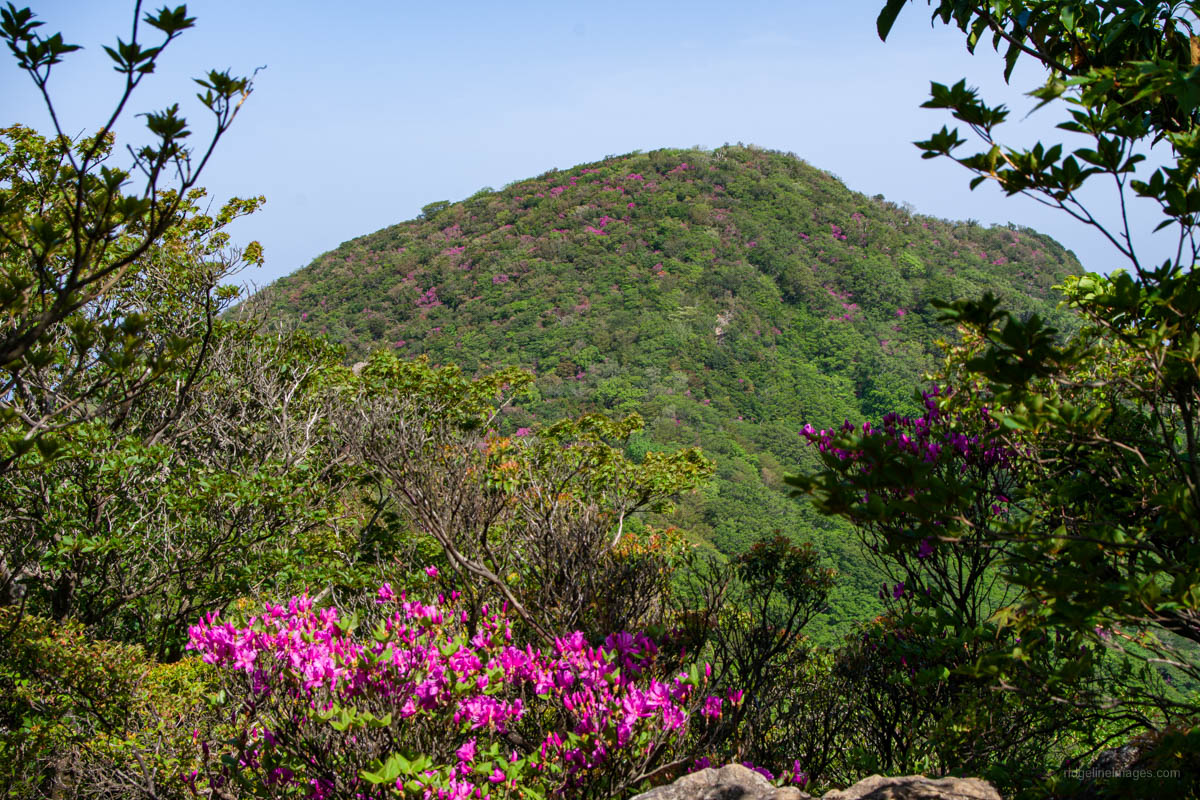 Mt. Amagi 天城山 - RIDGELINEIMAGES.com