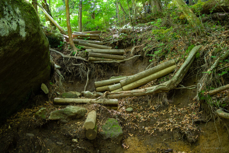 Mt. Amagi 天城山 - RIDGELINEIMAGES.com